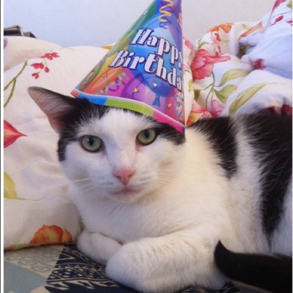 Accessories | Sushi Dinner 18th Birthday | Poshmark